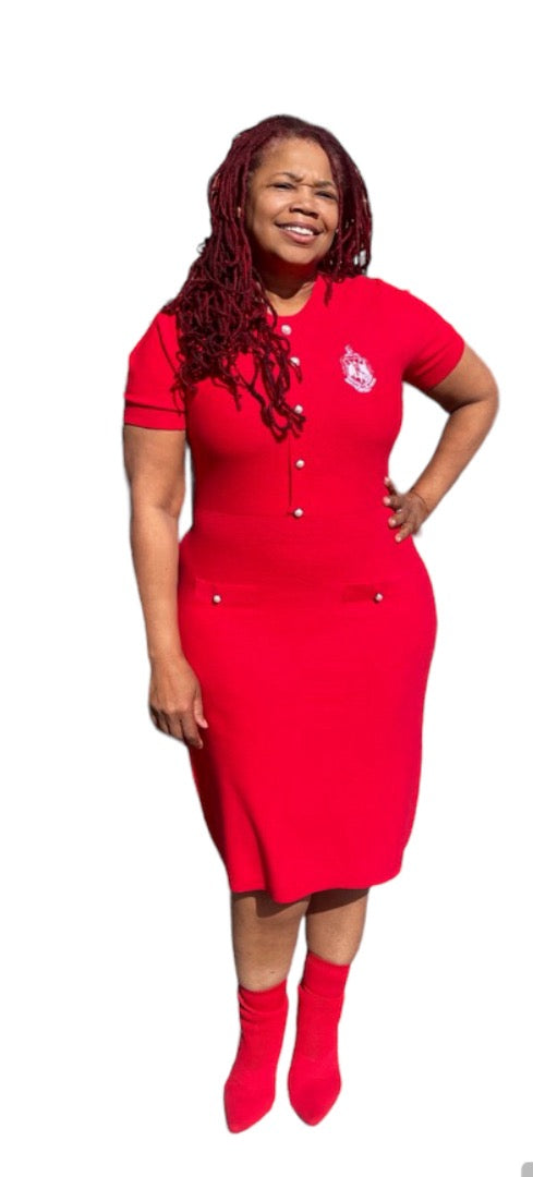 DST DIVA Dress – Tauntus Inc. Greek Store